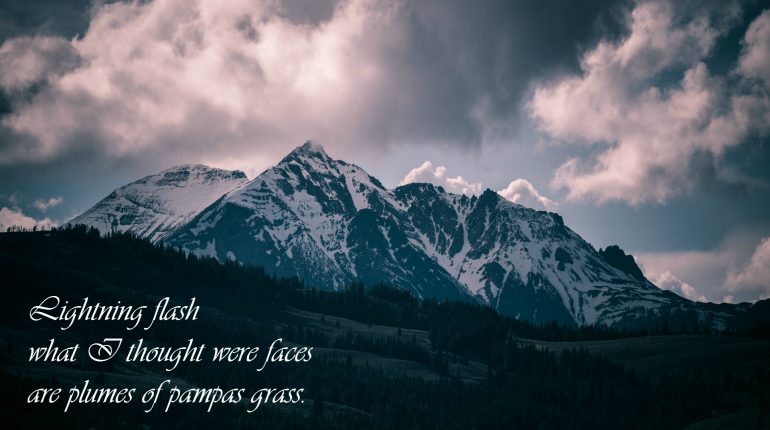 Haiku Poems and Related Laws | Valley Haiku